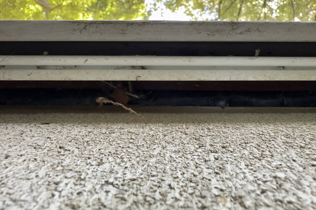 Keep Animals Out of Your Foundation and Sub-Siding